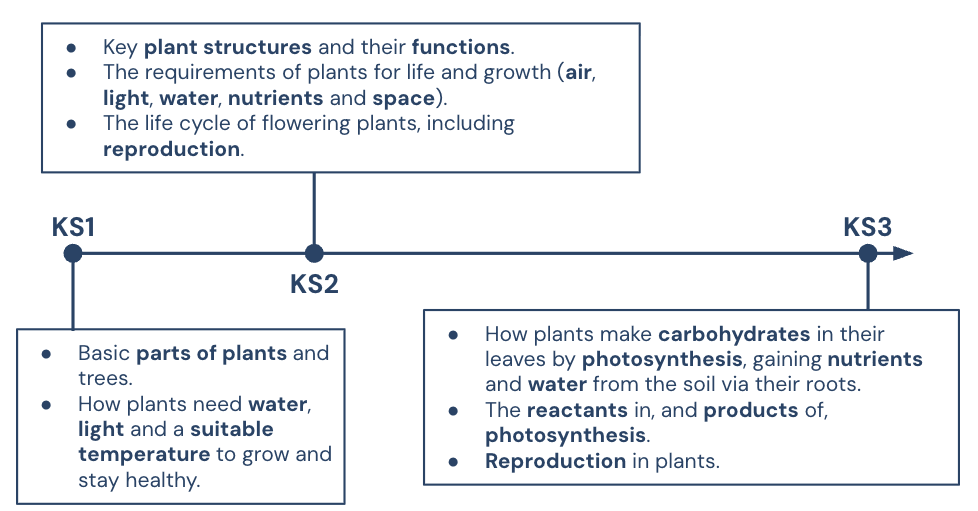 Sparx Learning - How we designed the Sparx Science Baseline